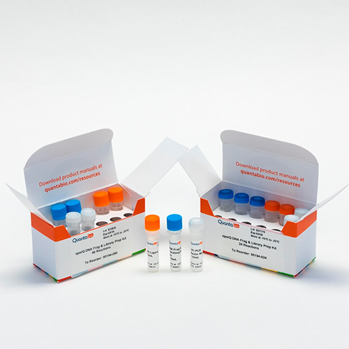 sparQ DNA Frag & Library Prep Kit – CITOGEM